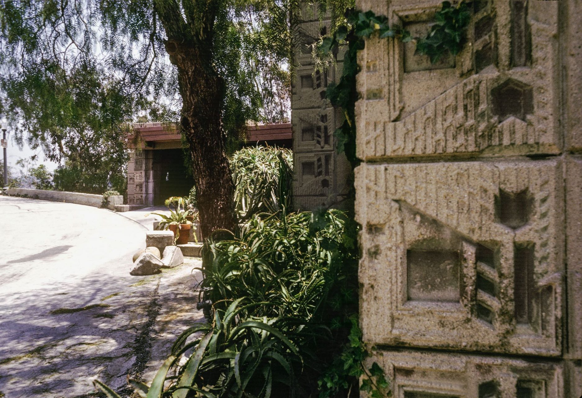 Architecture as Art at Frank Lloyd Wright's Iconic Freeman House — Team ...